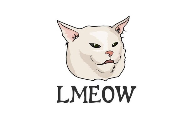 이젠 개 대신 고양이 밈코인?··· '엘뮤' 800배 급등 소동